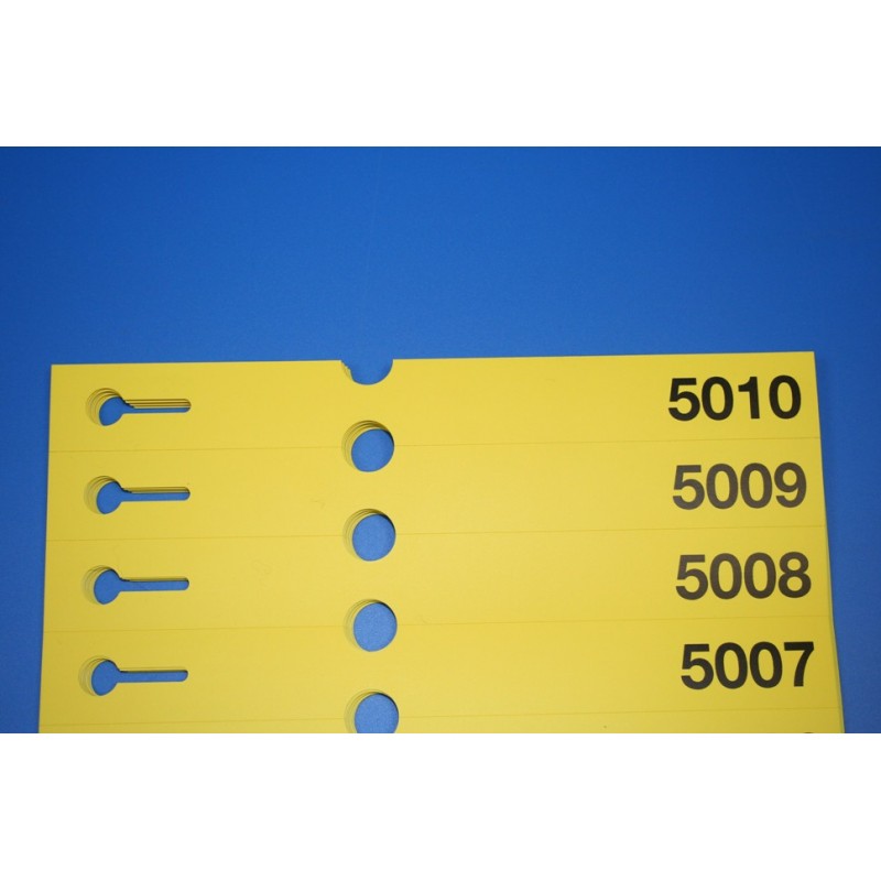 PVC Loop Labels - Identification and Security - Etigo
