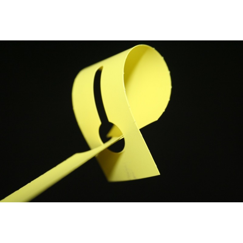 PVC Loop Labels - Identification and Security - Etigo